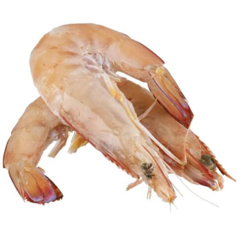 Prawns King (U6), Australian Wild Caught, 500g | TANGS Singapore