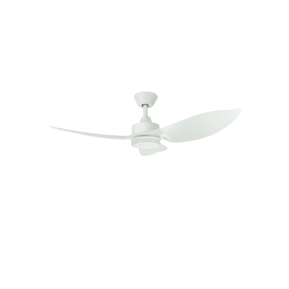 Mistral Ceiling Fan Summer Winter | Shelly Lighting
