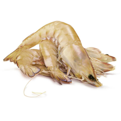 Prawns Banana (U15), Australian Wild Caught, 500g | TANGS Singapore